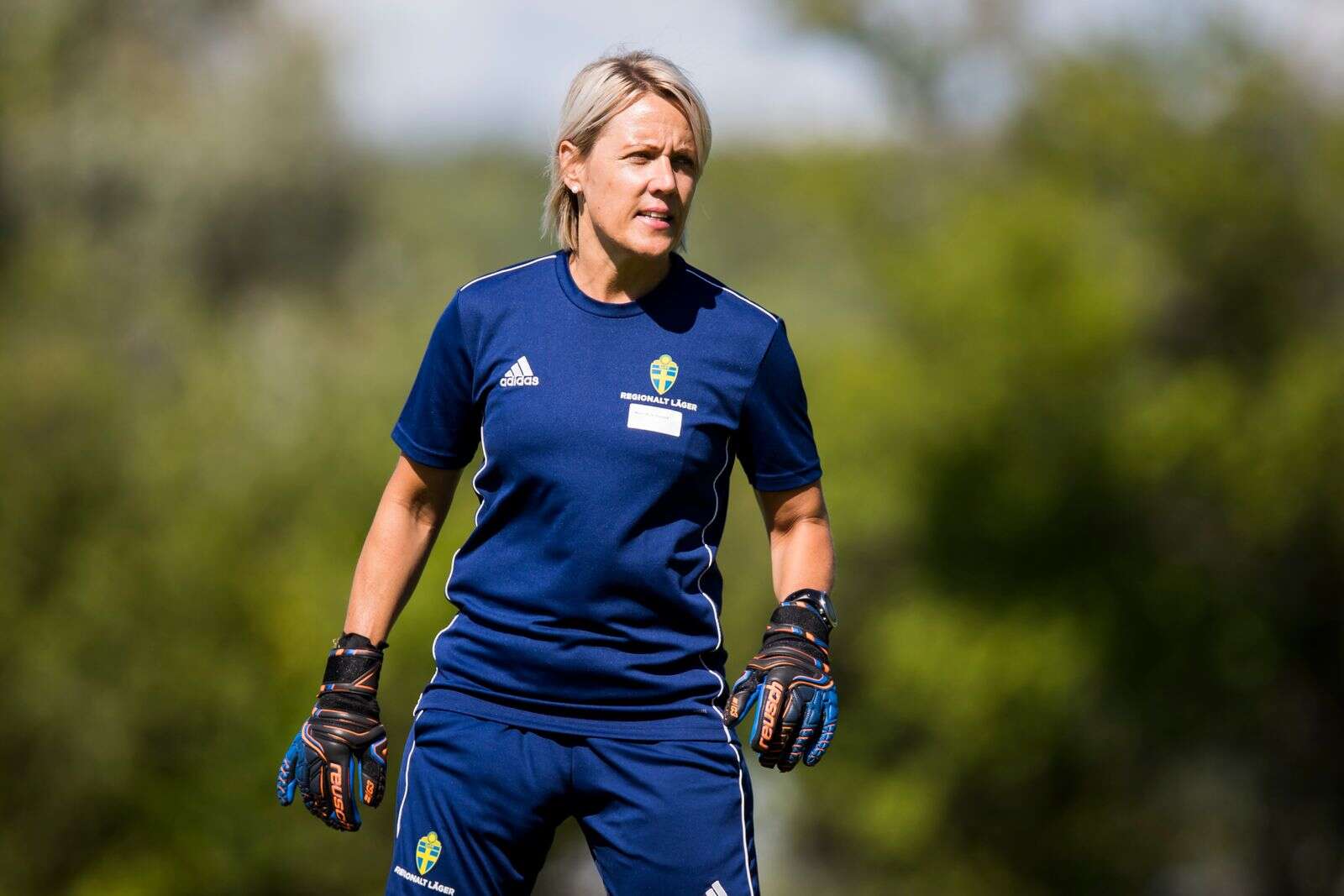 VF - Meriterade tränaren eftertraktad på marknaden: ”Har några ...