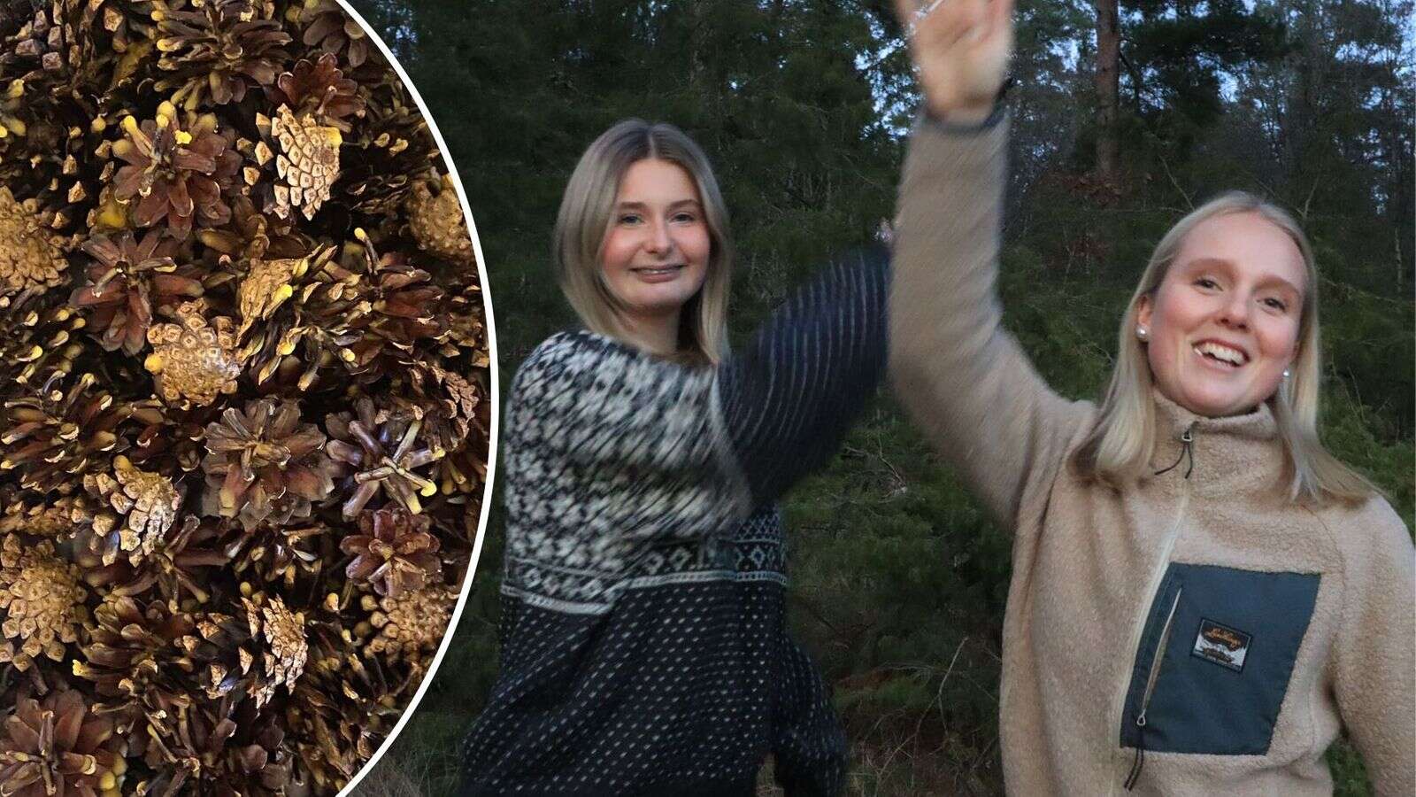 NLT - SM-succén – elever från DLG kammade hem guld i ung företagsamhet ...