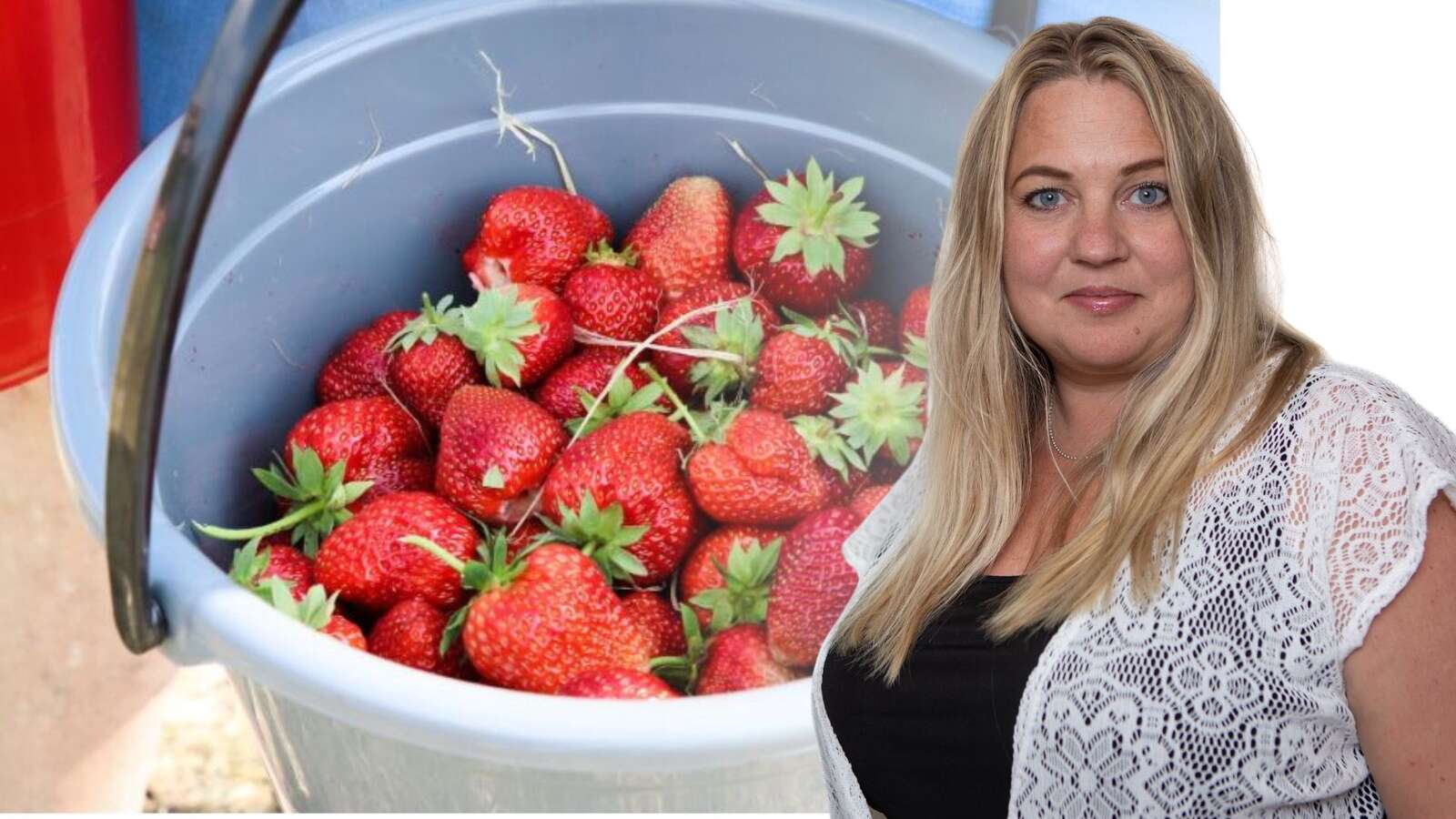 KT-Kuriren - Krönika: Livet är fyllt av slumper