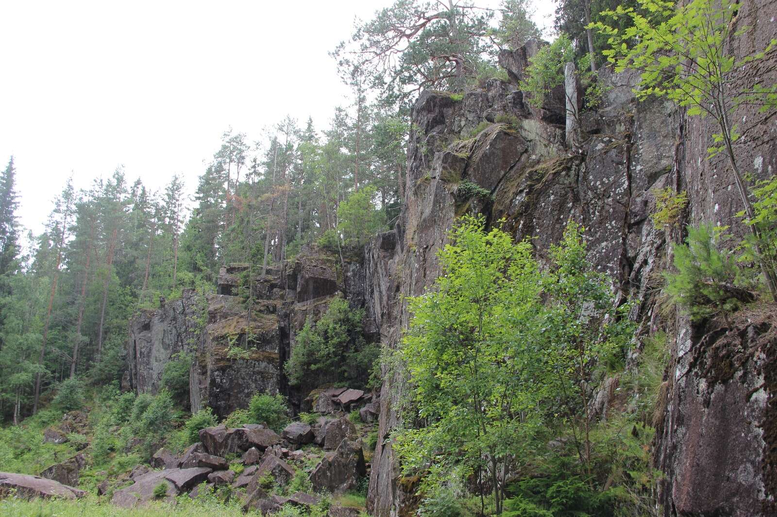 KT-Kuriren - Inspelning av Ronja i gång: ”Kommer att pågå under en ...