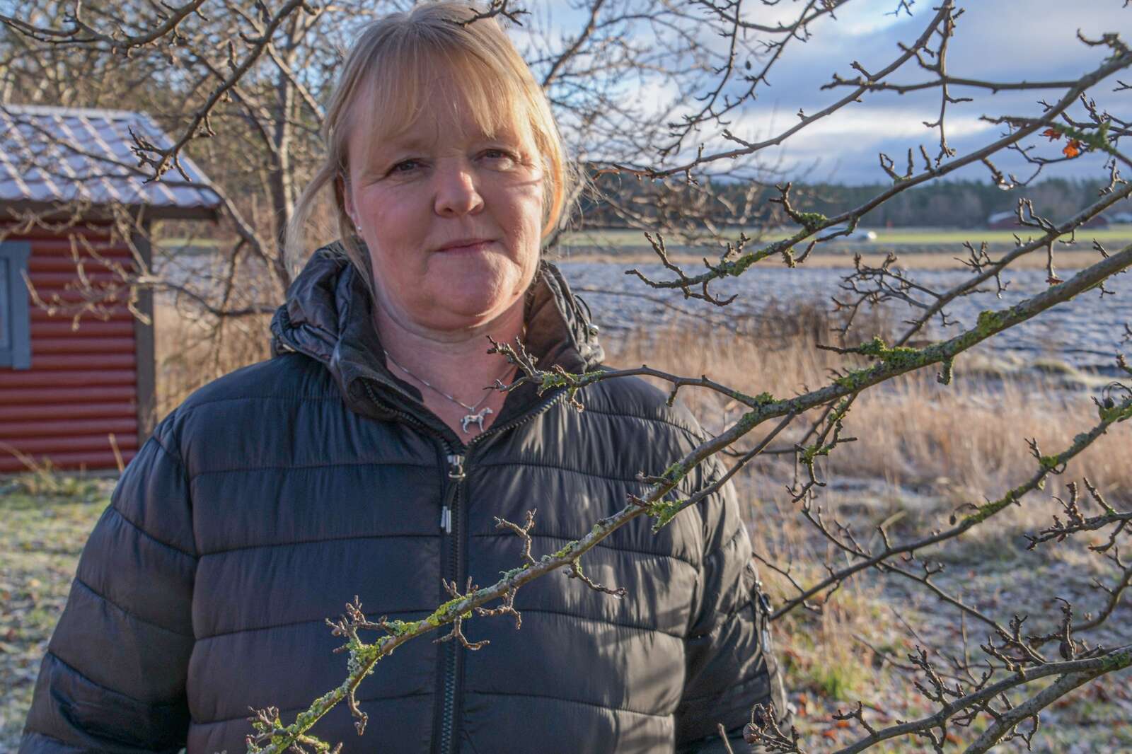 Mariestads-Tidningen - Festival, Fägremo och företagsetableringar ...